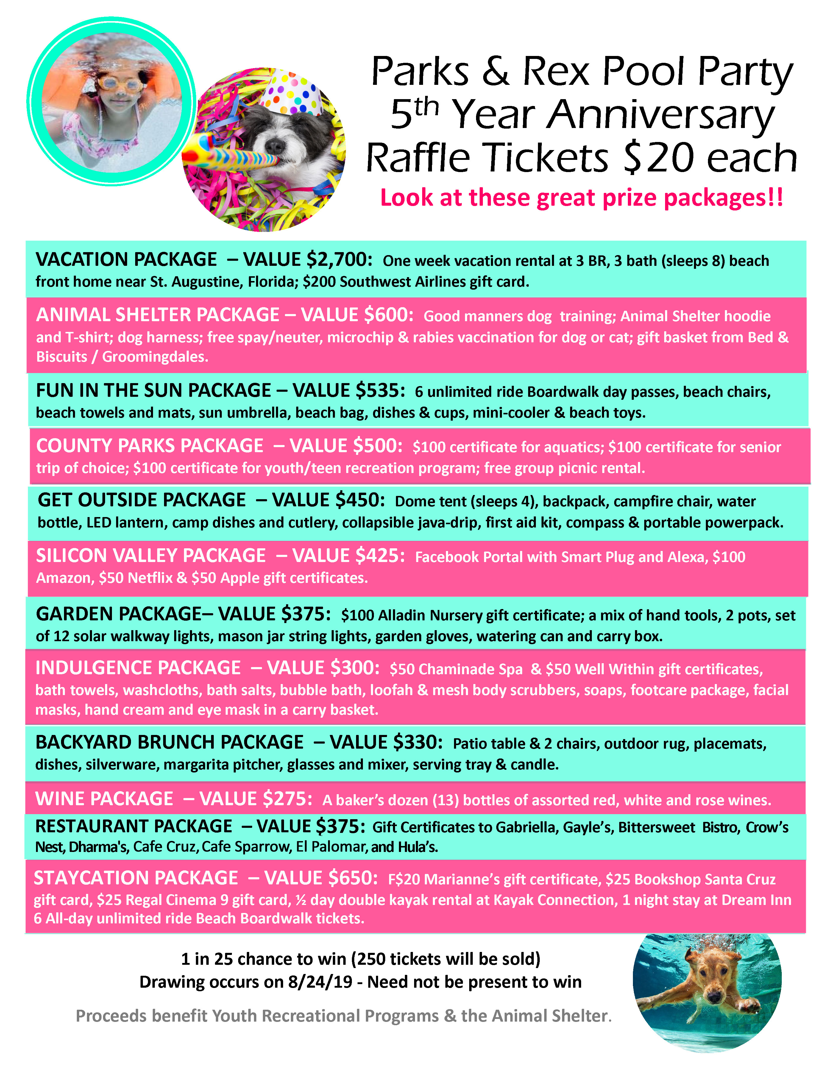 Pool Party Raffle Information