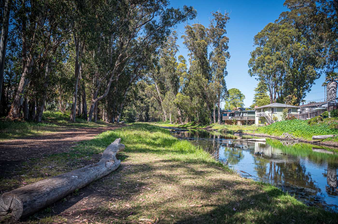 Moran Lake County Park