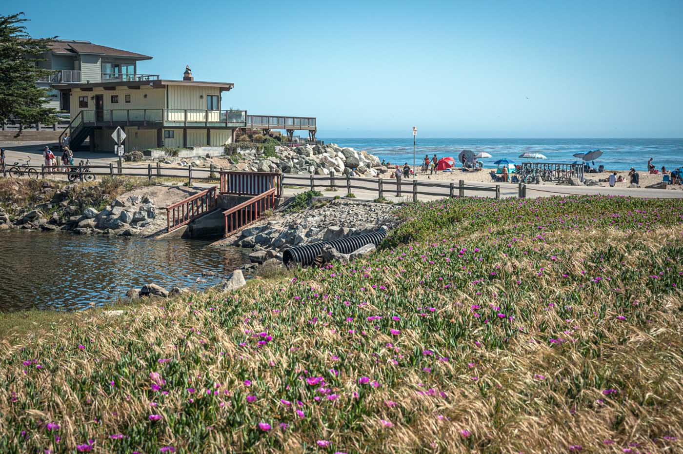 Moran Lake County Park