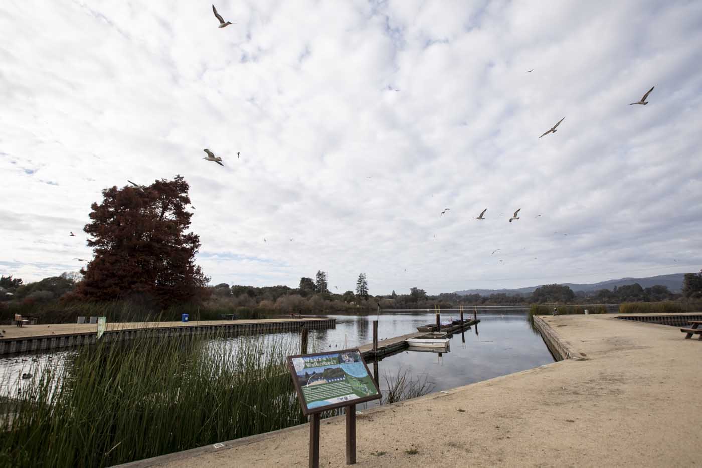 Pinto Lake County Park