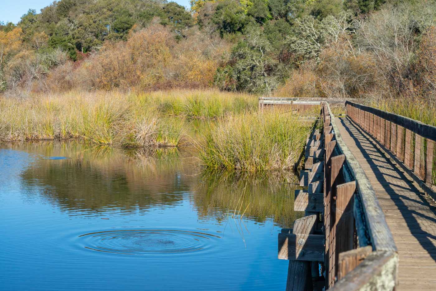 Pinto Lake County Park