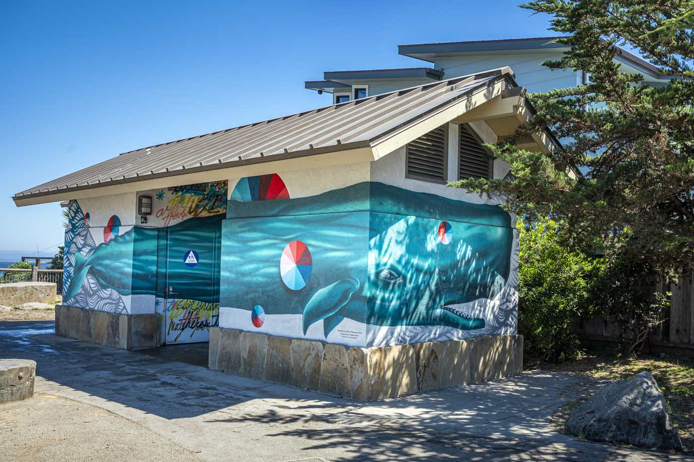 Pleasure Point County Park