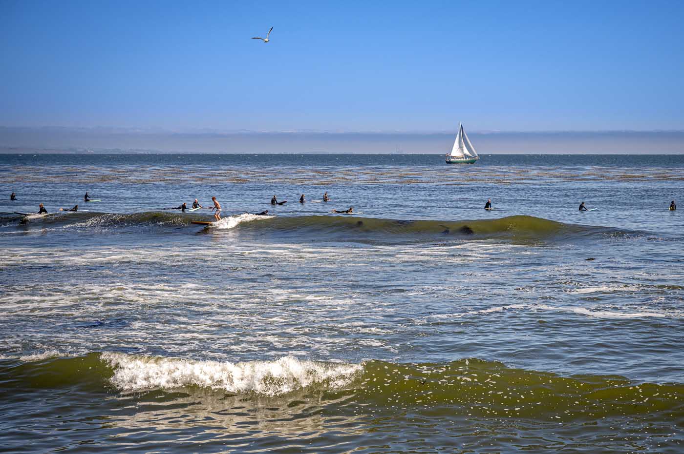 Pleasure Point County Park
