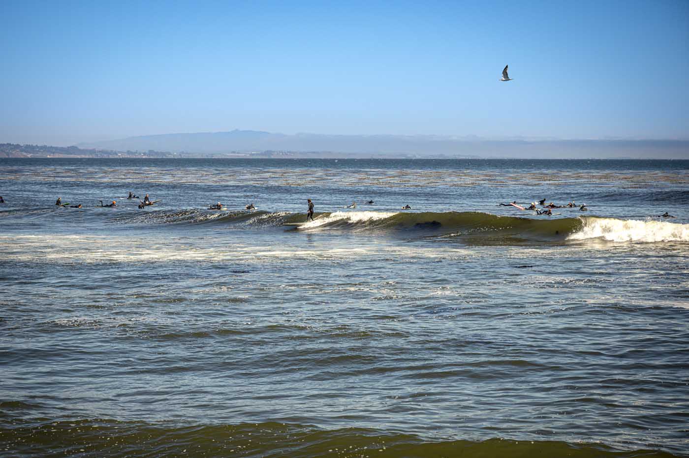 Pleasure Point County Park