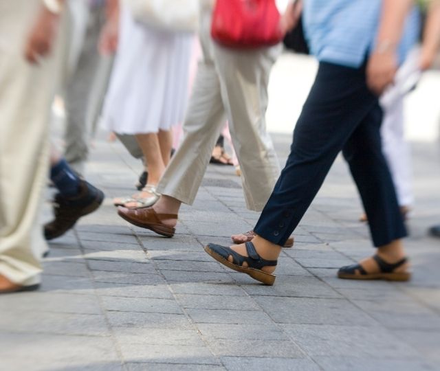 Adult Fitness & Wellness